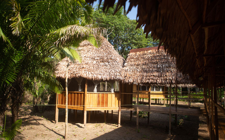 Eywa Lodge, nuevo hotel ecológico junto al río Amazonas - Buenos Viajes ...